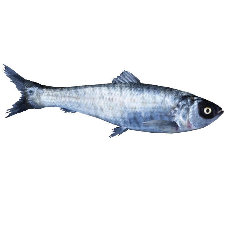 Xyne (Serpyderpy) | ZT2 Download Library Wiki | Fandom