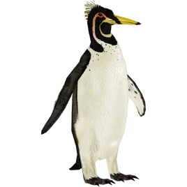 Icadyptes (Demon Hunter) | ZT2 Download Library Wiki | Fandom