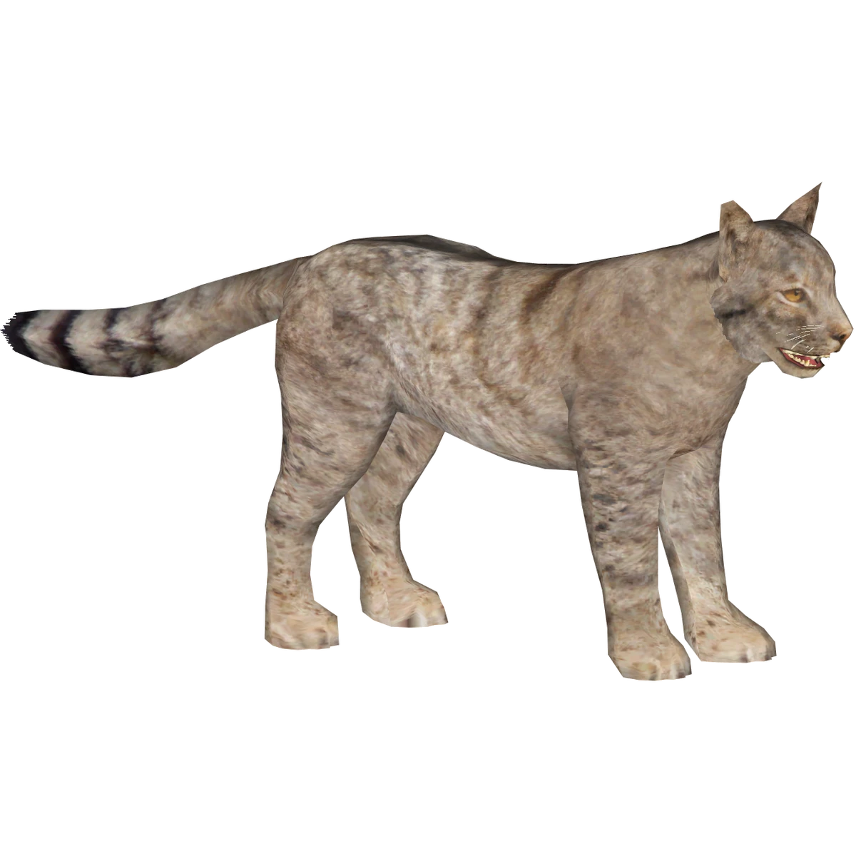 European Wildcat (HENDRIX)/Version 1 | ZT2 Download Library Wiki | Fandom