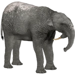 Category:Miocene Animals | ZT2 Download Library Wiki | Fandom