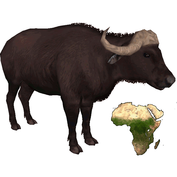 African Buffalo (DutchDesigns) | ZT2 Download Library Wiki | Fandom