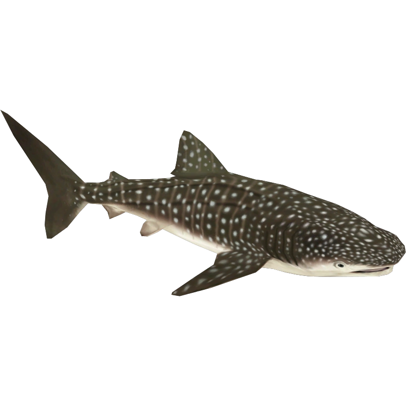 Whale Shark (Buffzoo & Serpyderpy) | ZT2 Download Library Wiki | Fandom