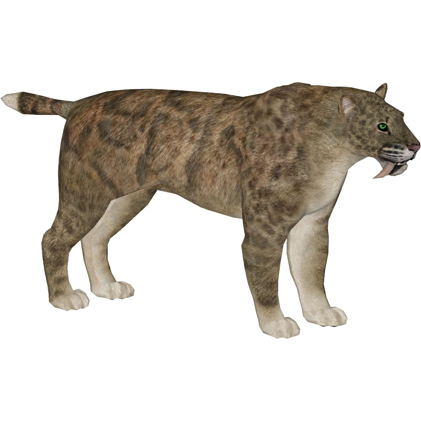 Smilodon Populator