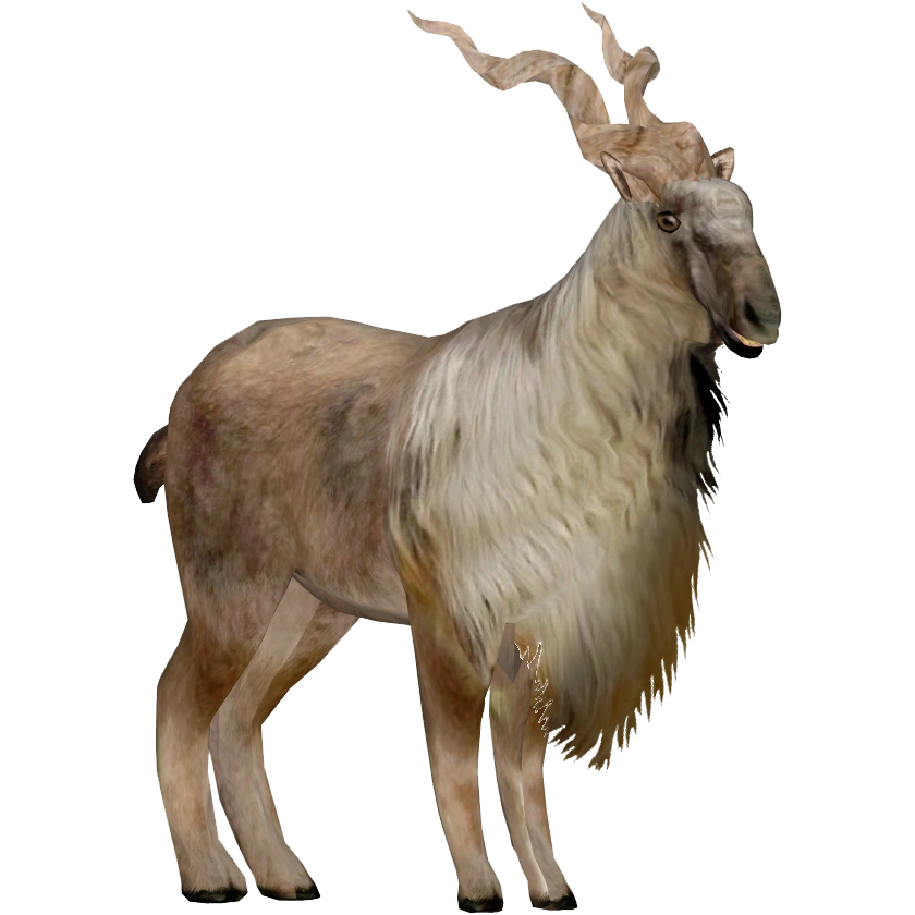 Markhor (Demon Hunter) | ZT2 Download Library Wiki | Fandom
