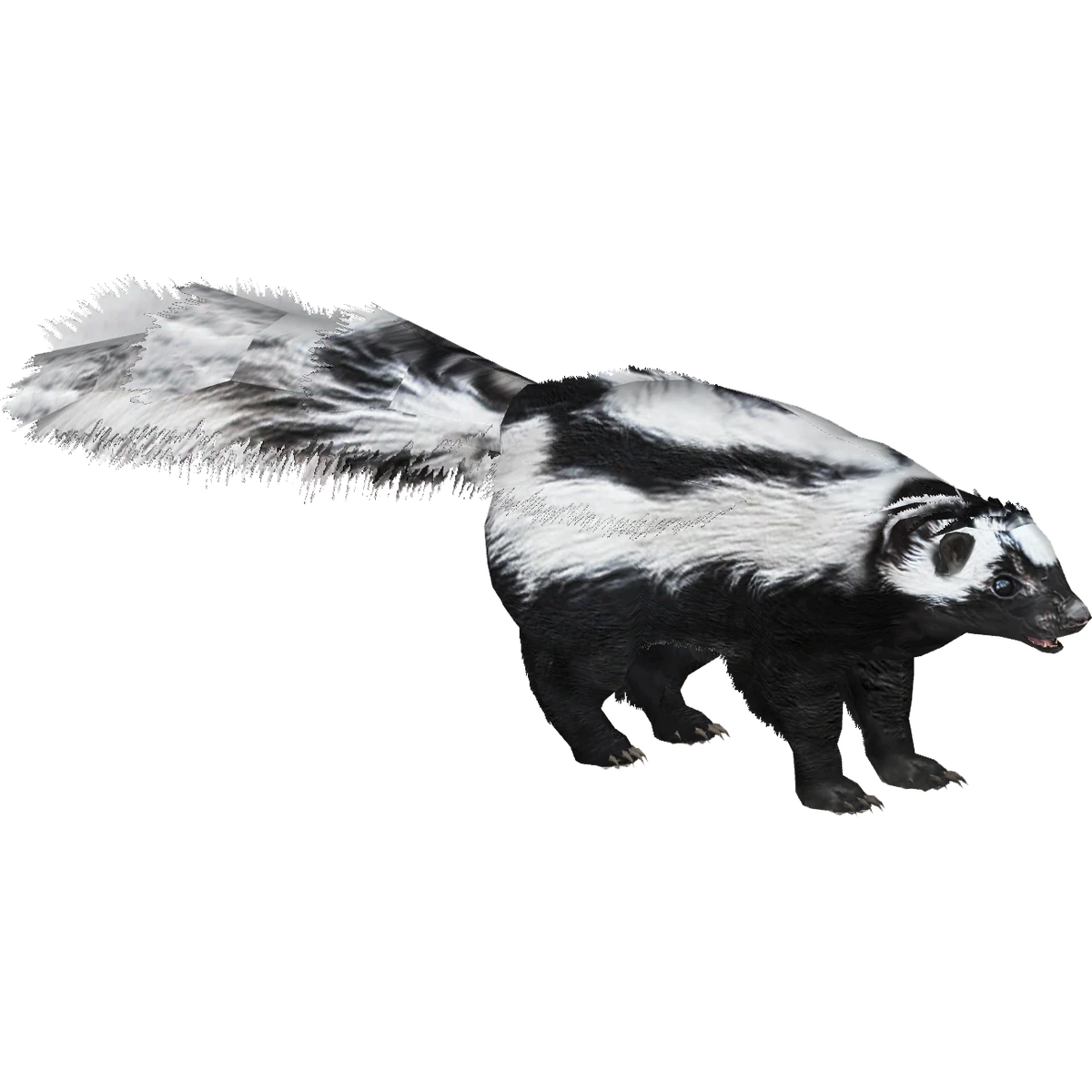 Zorille (Dedennedillo) | ZT2 Download Library Wiki | Fandom