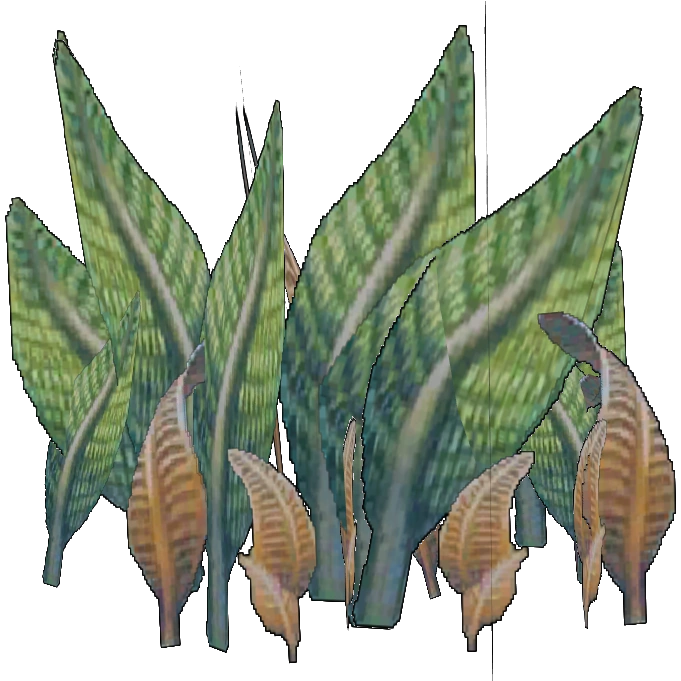 Charnia (Verdant Gregor) | ZT2 Download Library Wiki | Fandom