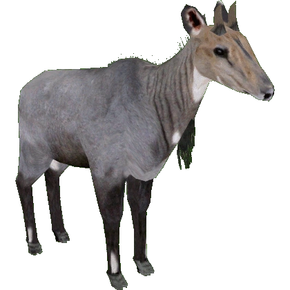 Nilgai (DutchDesigns) | ZT2 Download Library Wiki | Fandom