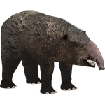 Category:Extinct Proboscideans | ZT2 Download Library Wiki | Fandom