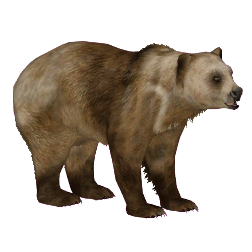 Category:Extinct Bears | ZT2 Download Library Wiki | Fandom