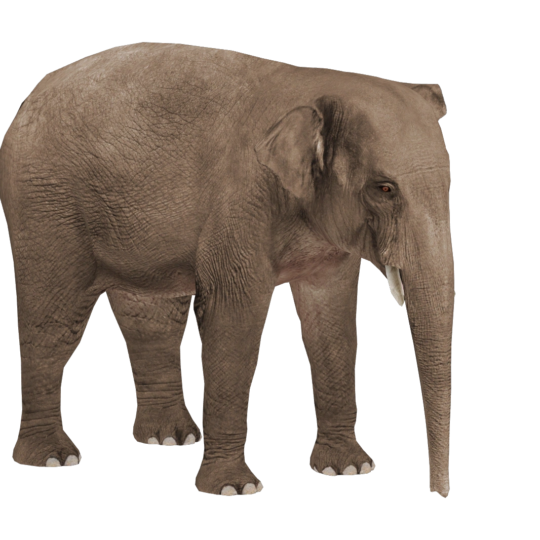 Zoo Tycoon 2 Radical Remake Elephant