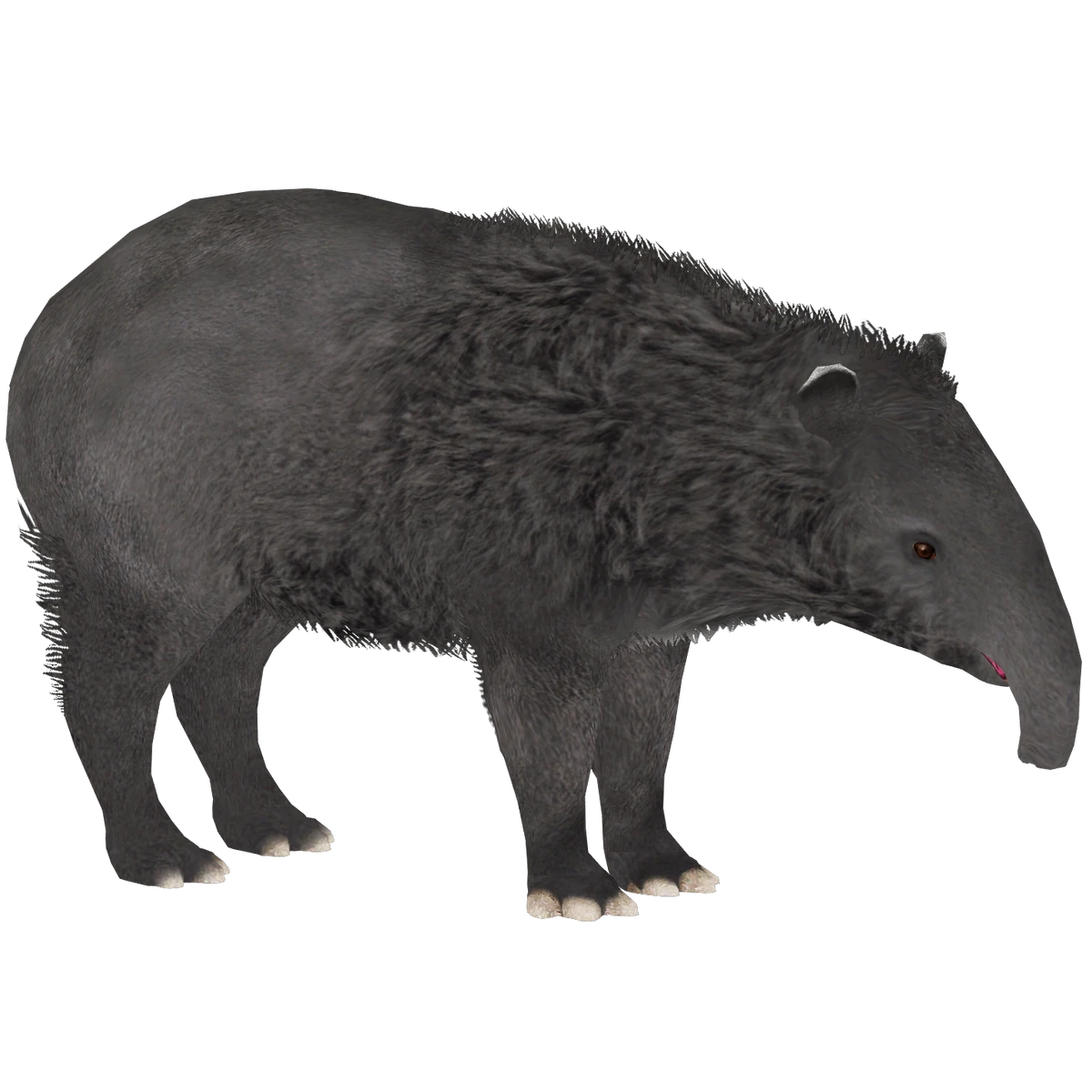 Giant Tapir (Demon Hunter) | ZT2 Download Library Wiki | Fandom