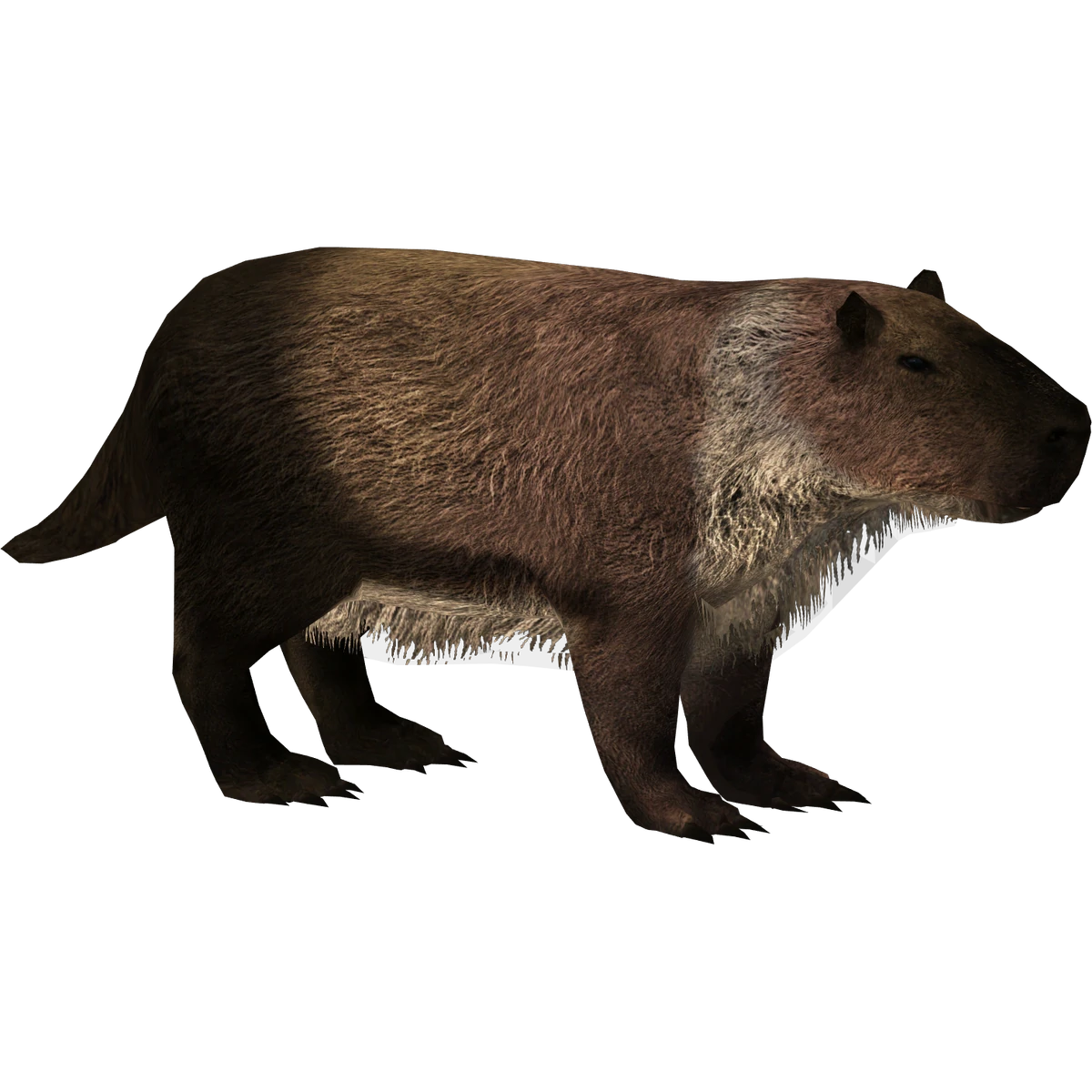 Eastern Giant Pacarana (Demon Hunter) | ZT2 Download Library Wiki | Fandom