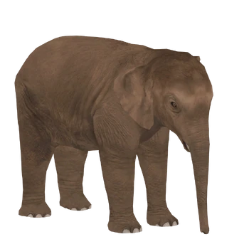 Primelephas (Demon Hunter) | ZT2 Download Library Wiki | Fandom