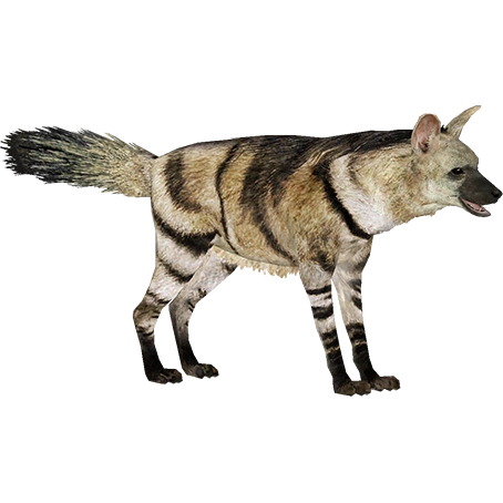 Aardwolf (ZTABC Team) | ZT2 Download Library Wiki | Fandom