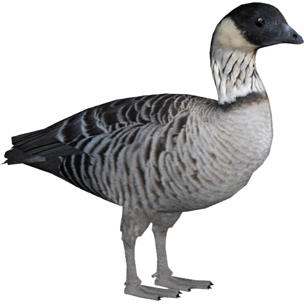 Nene (DutchDesigns) | ZT2 Download Library Wiki | Fandom