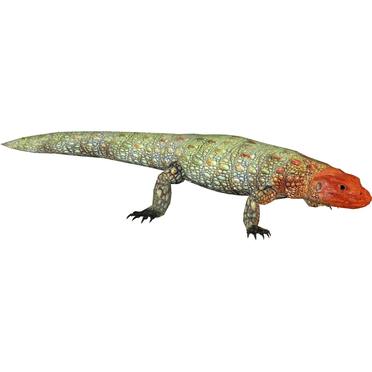 Northern Caiman Lizard (Elephant) | ZT2 Download Library Wiki | Fandom