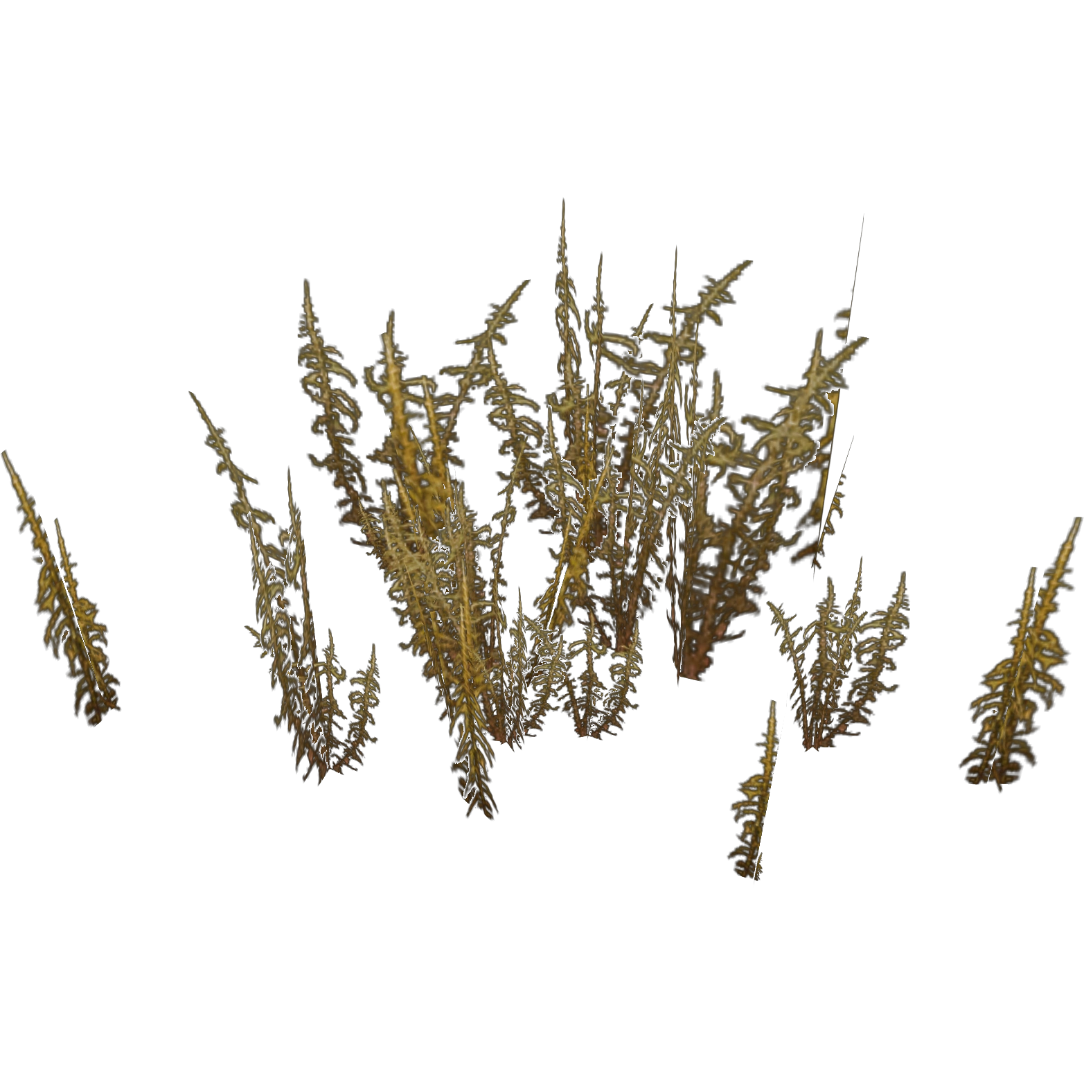Arctic Moss Tundra