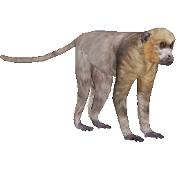 Blond Capuchin (Tamara Henson) | ZT2 Download Library Wiki | Fandom