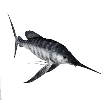 Protosphyraena (Okeanos) | ZT2 Download Library Wiki | Fandom