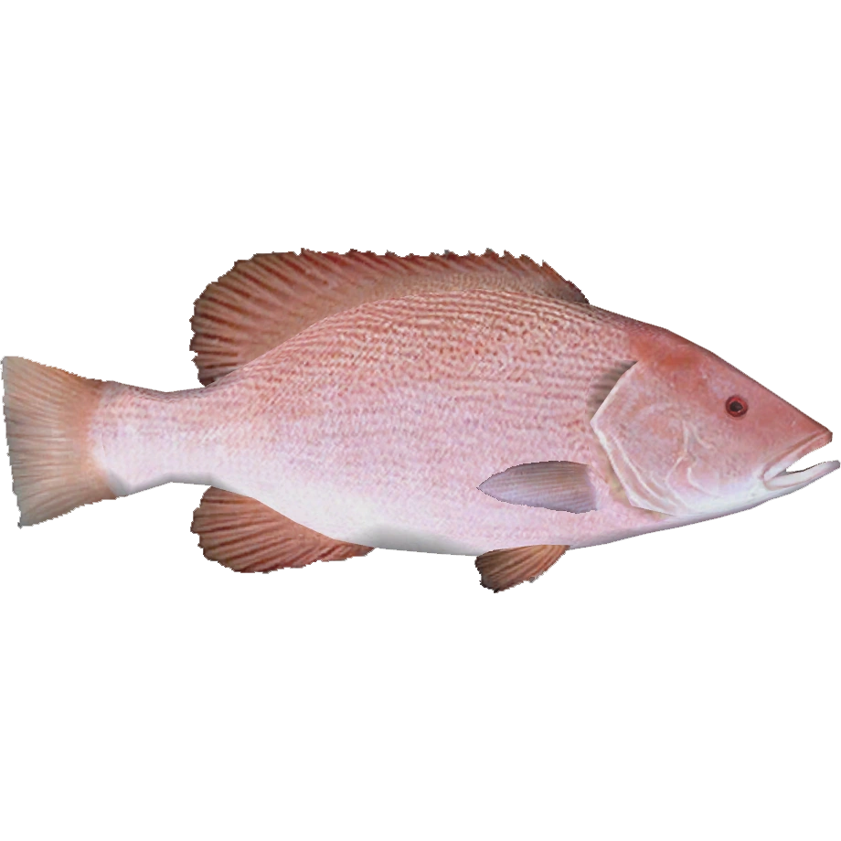 Northern Red Snapper (Dycki1231) | ZT2 Download Library Wiki | Fandom