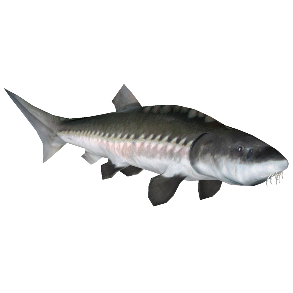 Gyrosteus (Imago) | ZT2 Download Library Wiki | Fandom