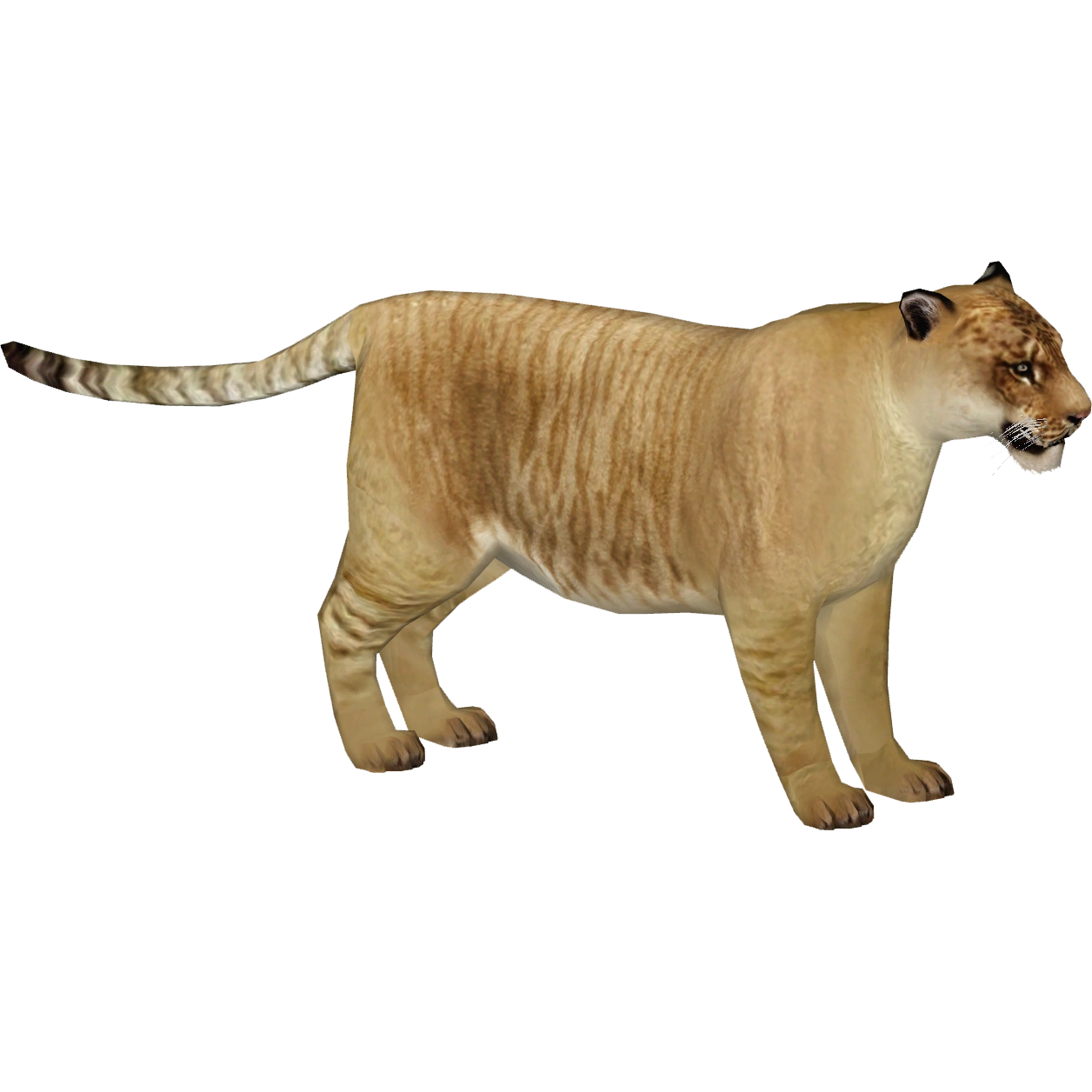 Top 999+ liger images – Amazing Collection liger images Full 4K