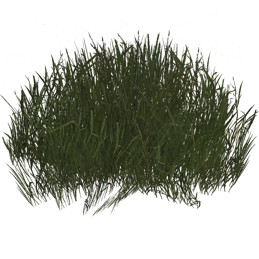 Tussock Grass (Thom) | ZT2 Download Library Wiki | Fandom