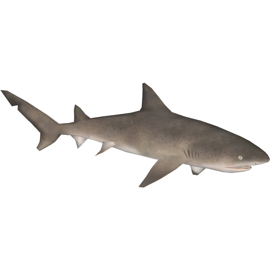 Lemon Shark (Zeta-Designs) | ZT2 Download Library Wiki | Fandom