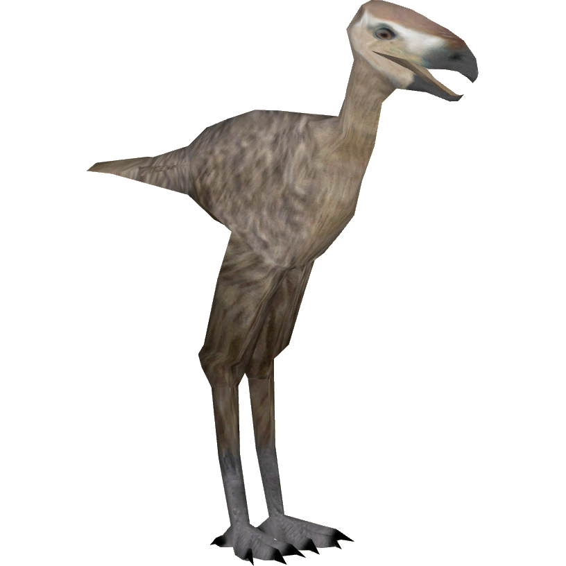 Paraphysornis (Braq & Dinosaur) | ZT2 Download Library Wiki | Fandom