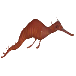 Ruby Sea Dragon (Terrena Laxamentum) | ZT2 Download Library Wiki | Fandom