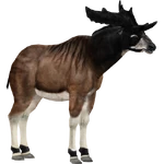 Category:Extinct Giraffoids | ZT2 Download Library Wiki | Fandom