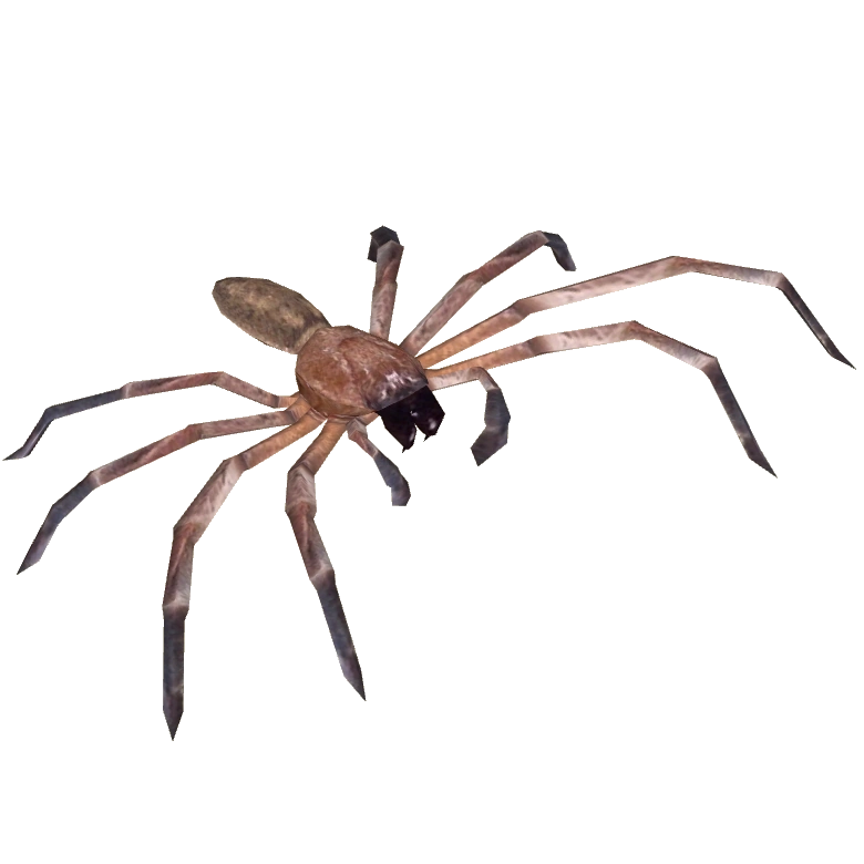 Social Huntsman Spider (Ulquiorra) | ZT2 Download Library Wiki | Fandom