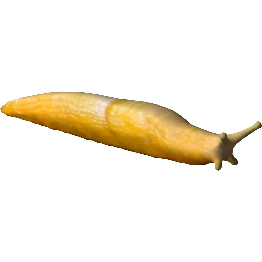 Banana Slug (Serpyderpy) | ZT2 Download Library Wiki | Fandom