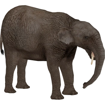 Chilgatherium (Demon Hunter) | ZT2 Download Library Wiki | Fandom