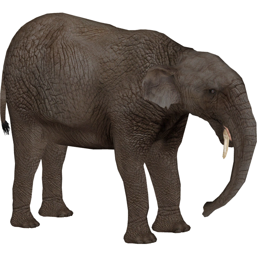 Chilgatherium (Demon Hunter) | ZT2 Download Library Wiki | Fandom