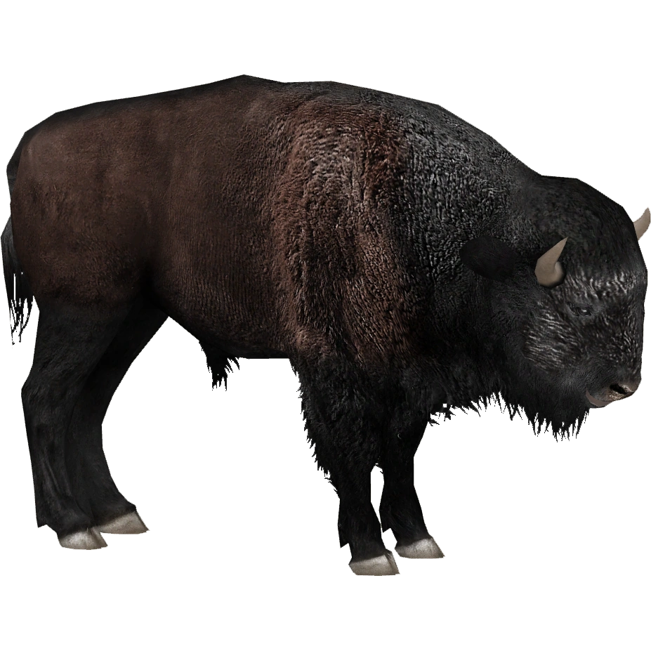 Eastern Bison (Tamara Henson) | ZT2 Download Library Wiki | Fandom