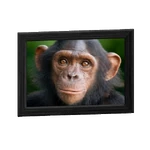 Category:Zeta-Designs | ZT2 Download Library Wiki | Fandom