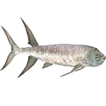 Category:Tyranachu | ZT2 Download Library Wiki | Fandom