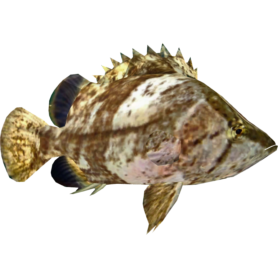 Leaf Fish (Dycki1231) | ZT2 Download Library Wiki | Fandom