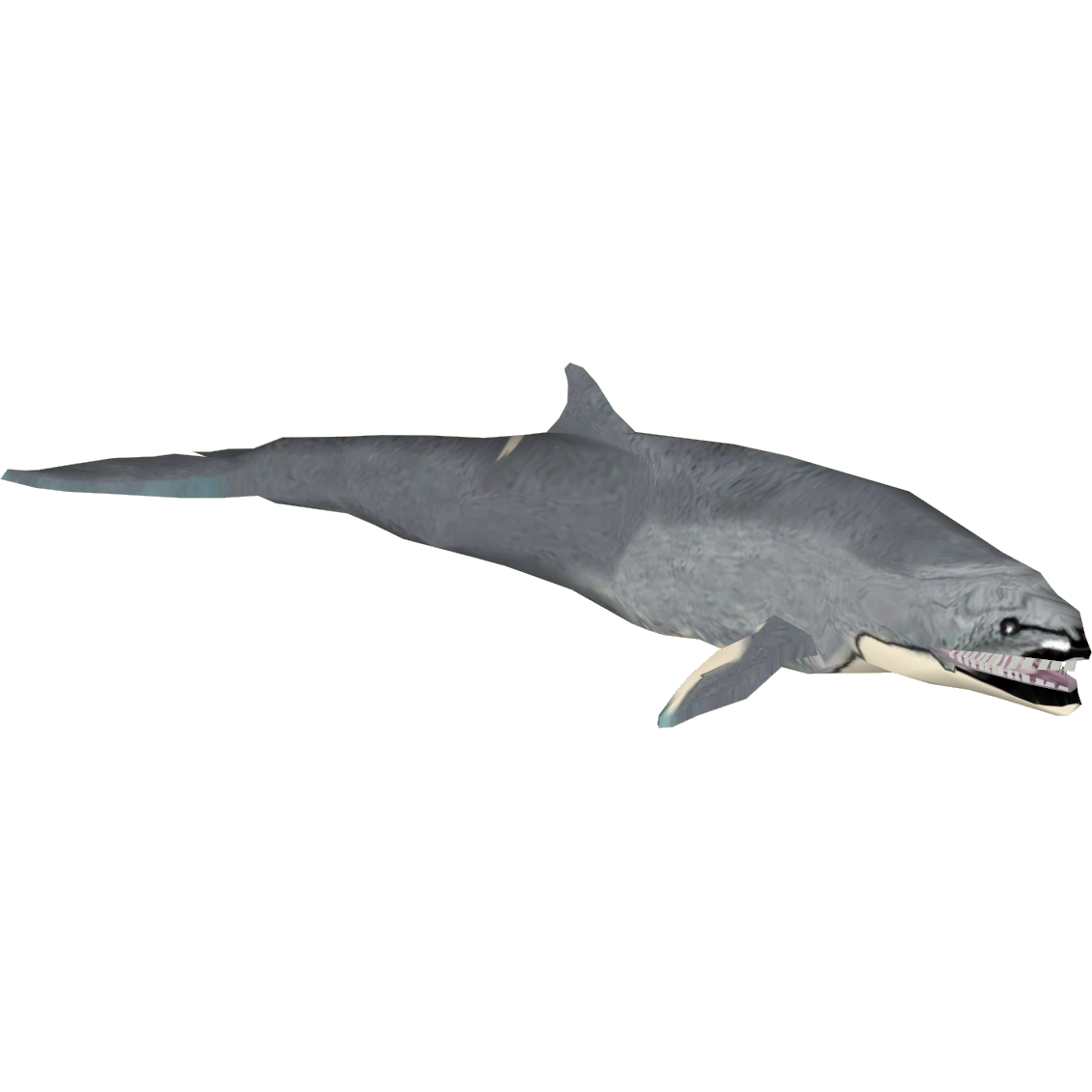Basilosaurus (Dannybob) | ZT2 Download Library Wiki | Fandom