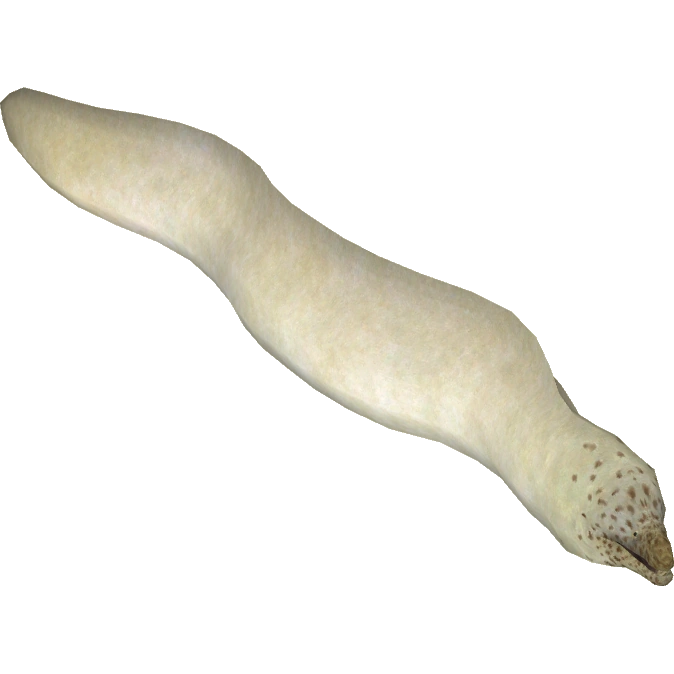 Ghost Moray (Platypus) | ZT2 Download Library Wiki | Fandom