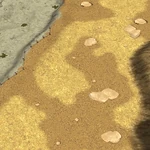 Category:Maps | ZT2 Download Library Wiki | Fandom