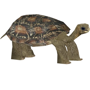 Colossochelys (Kingcobrasaurus) | ZT2 Download Library Wiki | Fandom