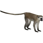 Category:Old World Monkeys | ZT2 Download Library Wiki | Fandom
