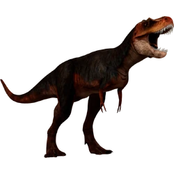 Extinct Rainforest Animals