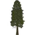 Category:Demon Hunter | ZT2 Download Library Wiki | Fandom