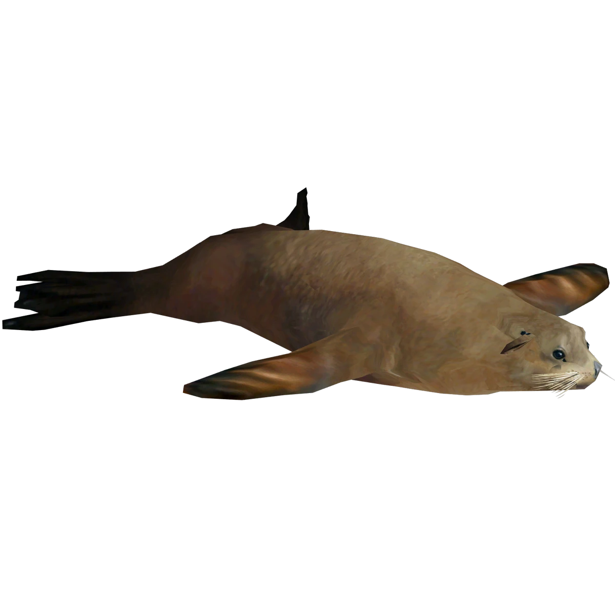 Category:Extinct Pinnipeds | ZT2 Download Library Wiki | Fandom