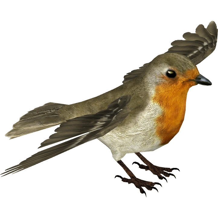 European Robin (MiBound) | ZT2 Download Library Wiki | Fandom