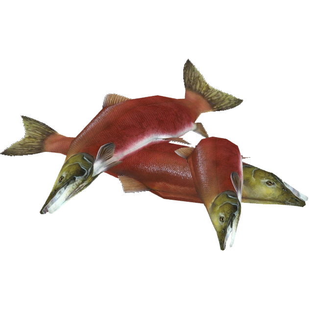 Salmon Food (Zoker) | ZT2 Download Library Wiki | Fandom