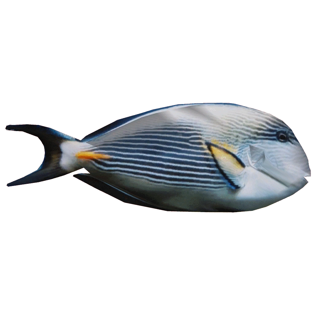 Sohal Tang (DutchDesigns) | ZT2 Download Library Wiki | Fandom